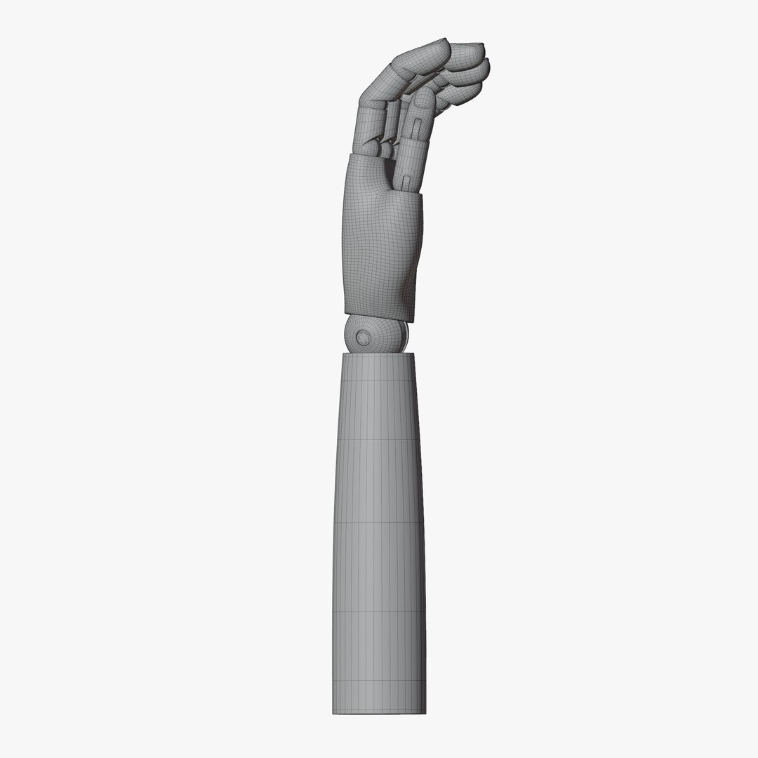 Wooden Arm 3D Model - TurboSquid 2235383