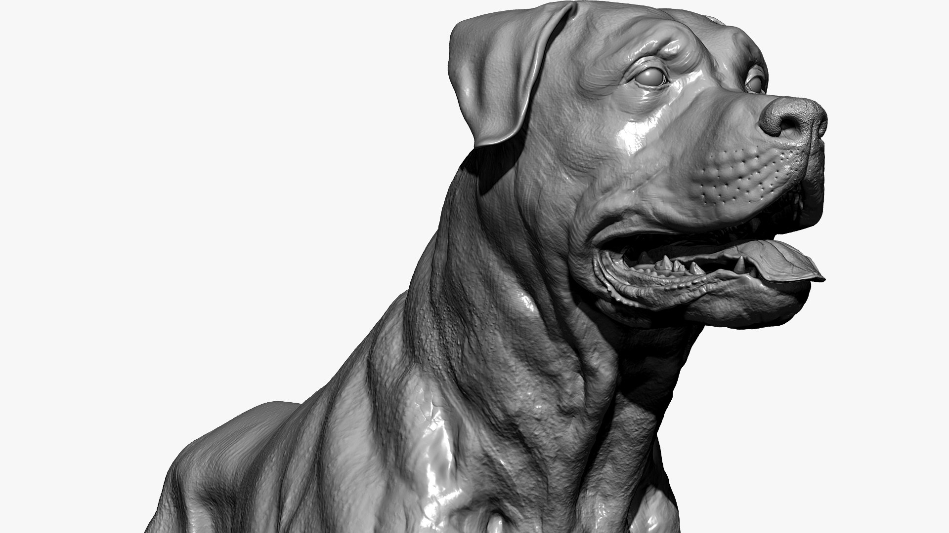 Dog Rottweiler 3D Model - TurboSquid 1675338