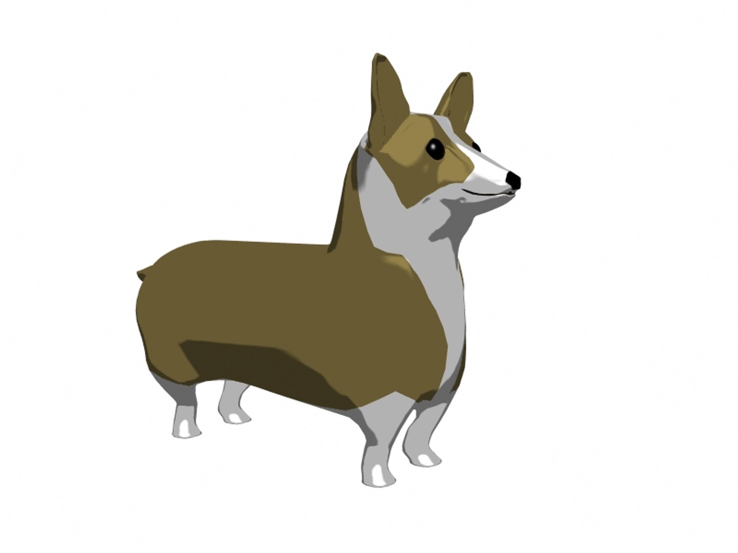 3d Model Of Welsh Corgi