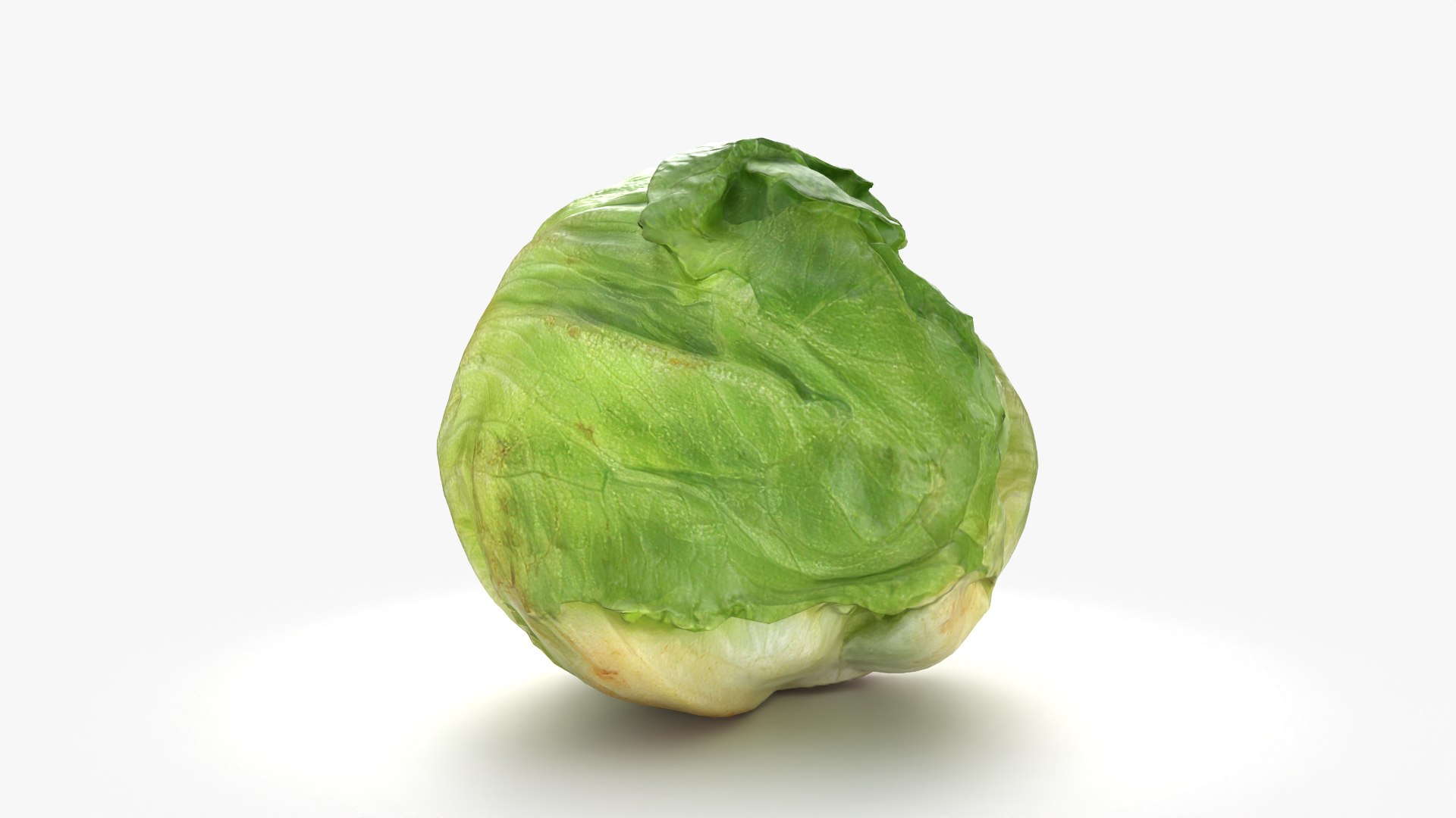 Iceberg Lettuce - Photo Scan 3D Model - TurboSquid 2518596