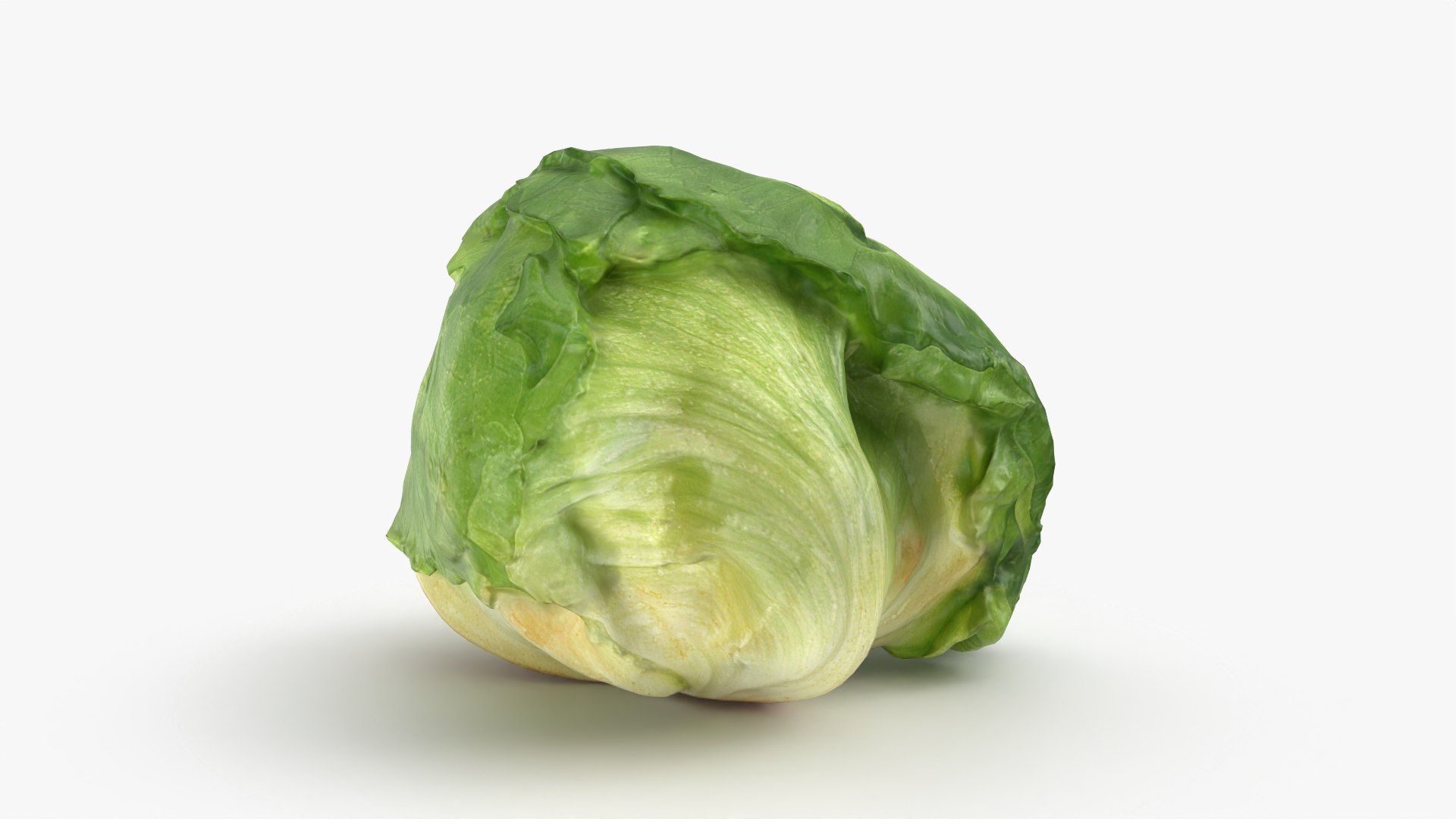 Iceberg Lettuce - Photo Scan 3D Model - TurboSquid 2518596
