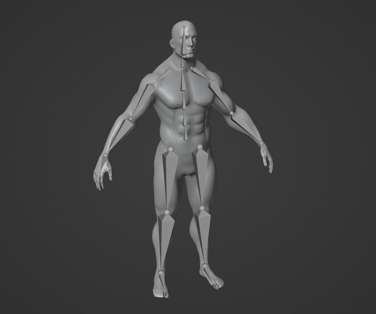 Strong Male Body Base Mesh Animated Rigged 3D Model 20k Polygons 3D ...