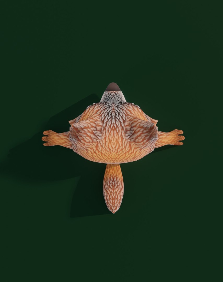 Cartoon Grey Fox Animated 3D Model 3D model - TurboSquid 1849400