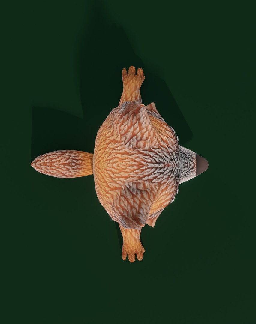 Cartoon Grey Fox Animated 3D Model 3D model - TurboSquid 1849400