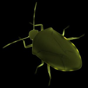 3D Stink Bug Models - Browse & Download Formats - TurboSquid