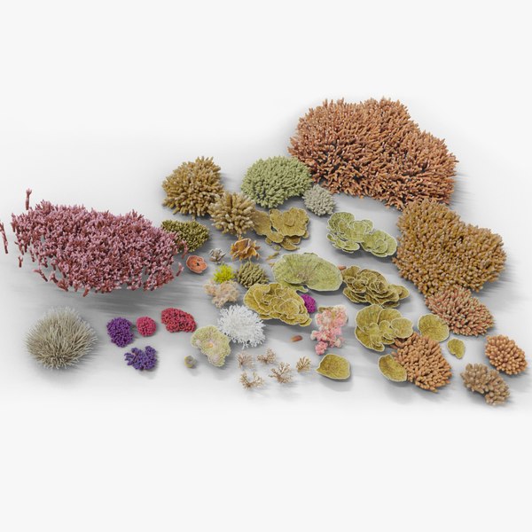 coral 3d 3ds