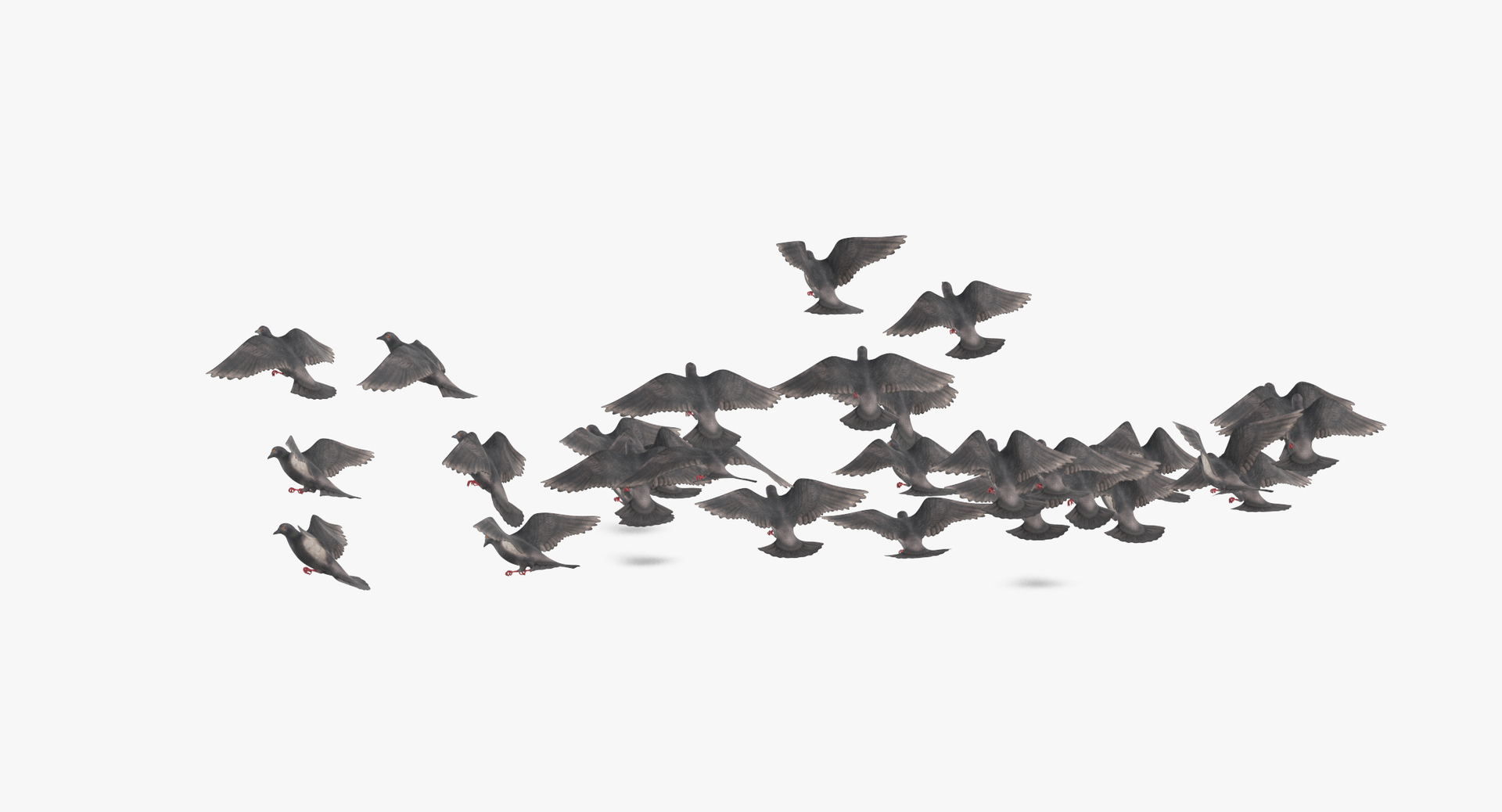 3D Model Flock Flying Medium 03 - TurboSquid 1320344