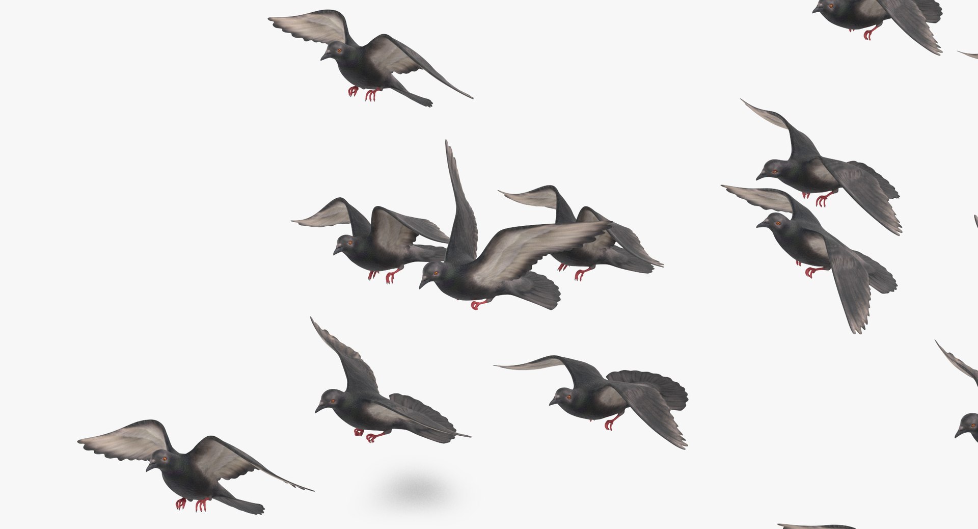 3D Model Flock Flying Medium 03 - TurboSquid 1320344