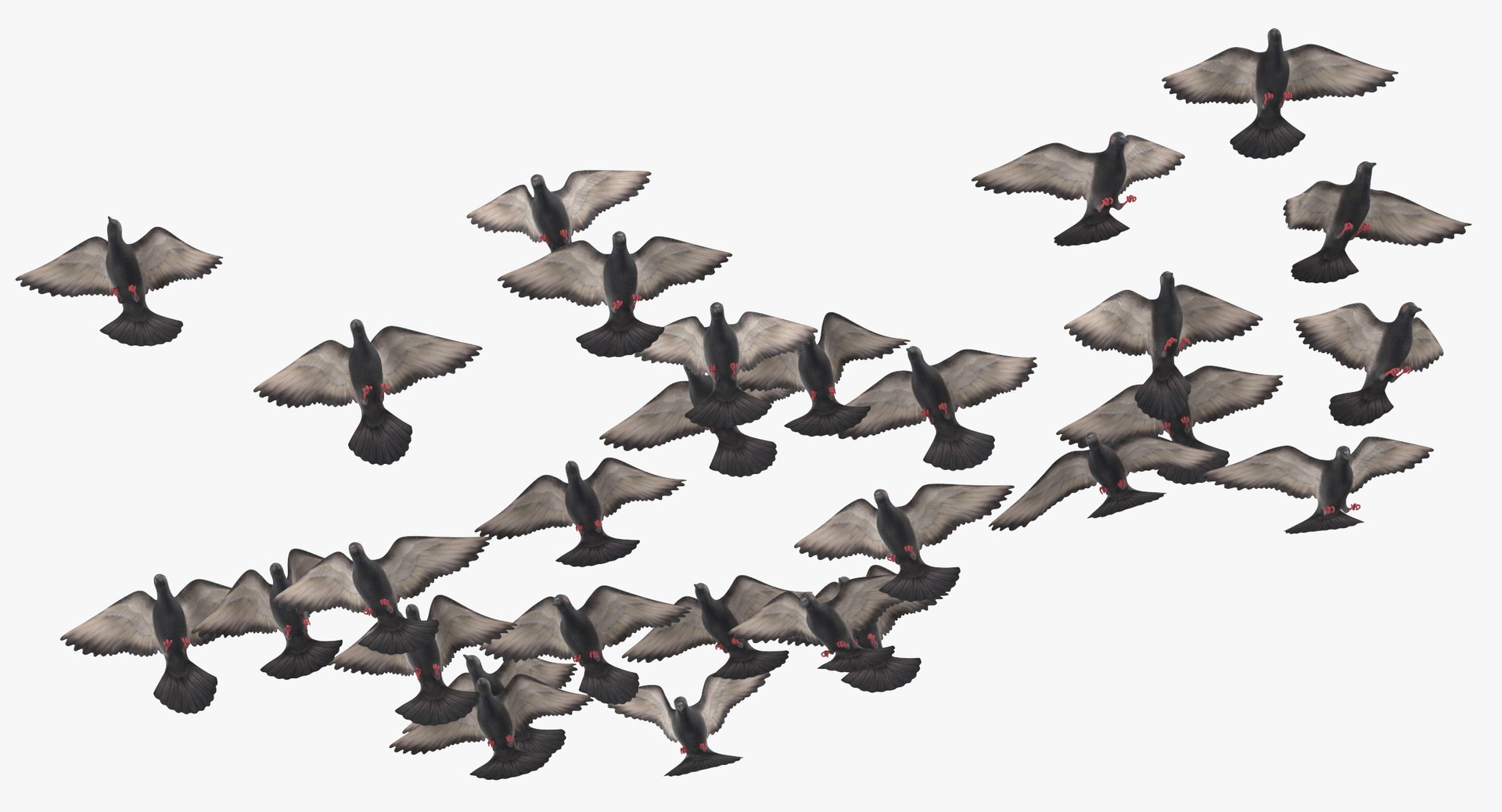 3D Model Flock Flying Medium 03 - TurboSquid 1320344