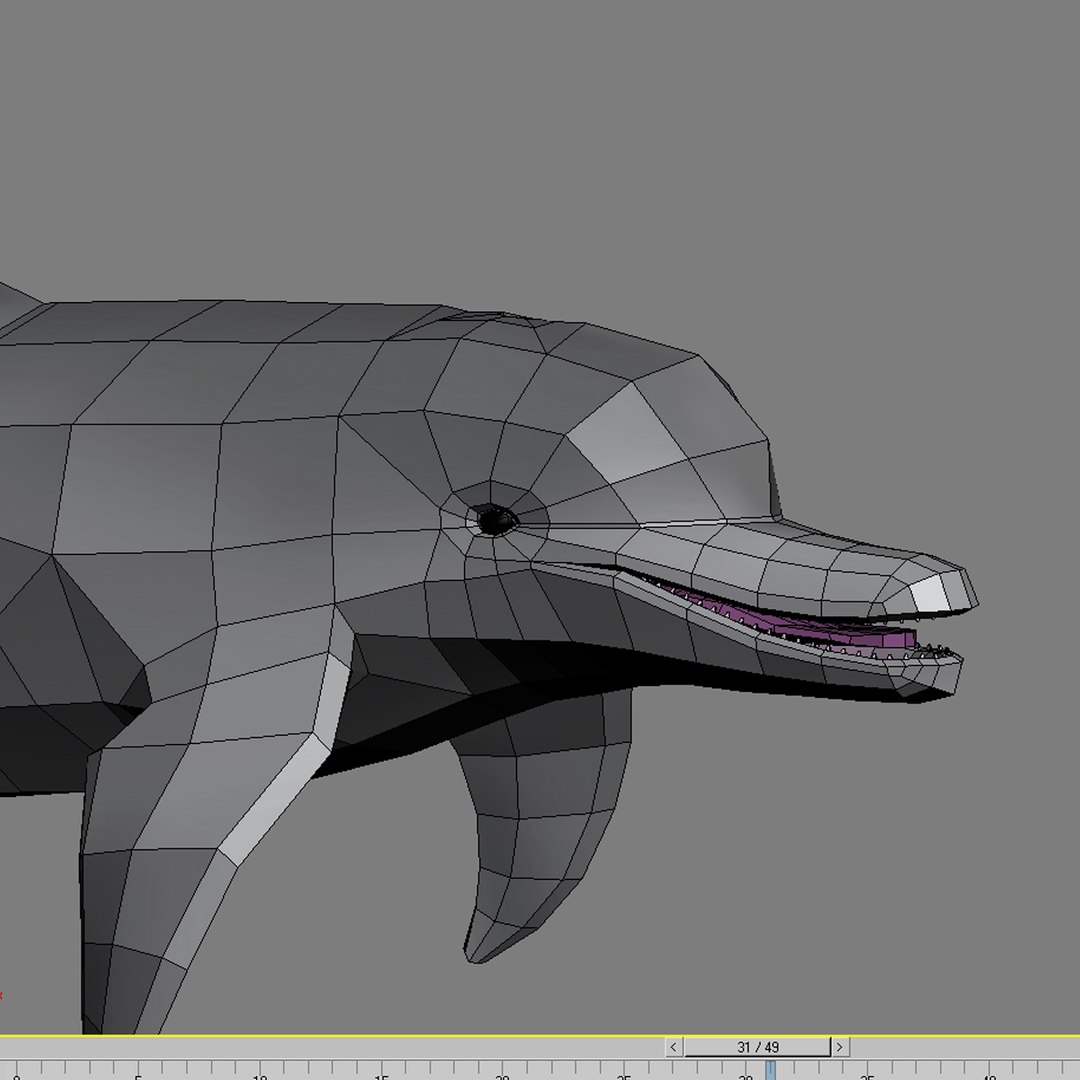 Dolphin Animation 3d Max