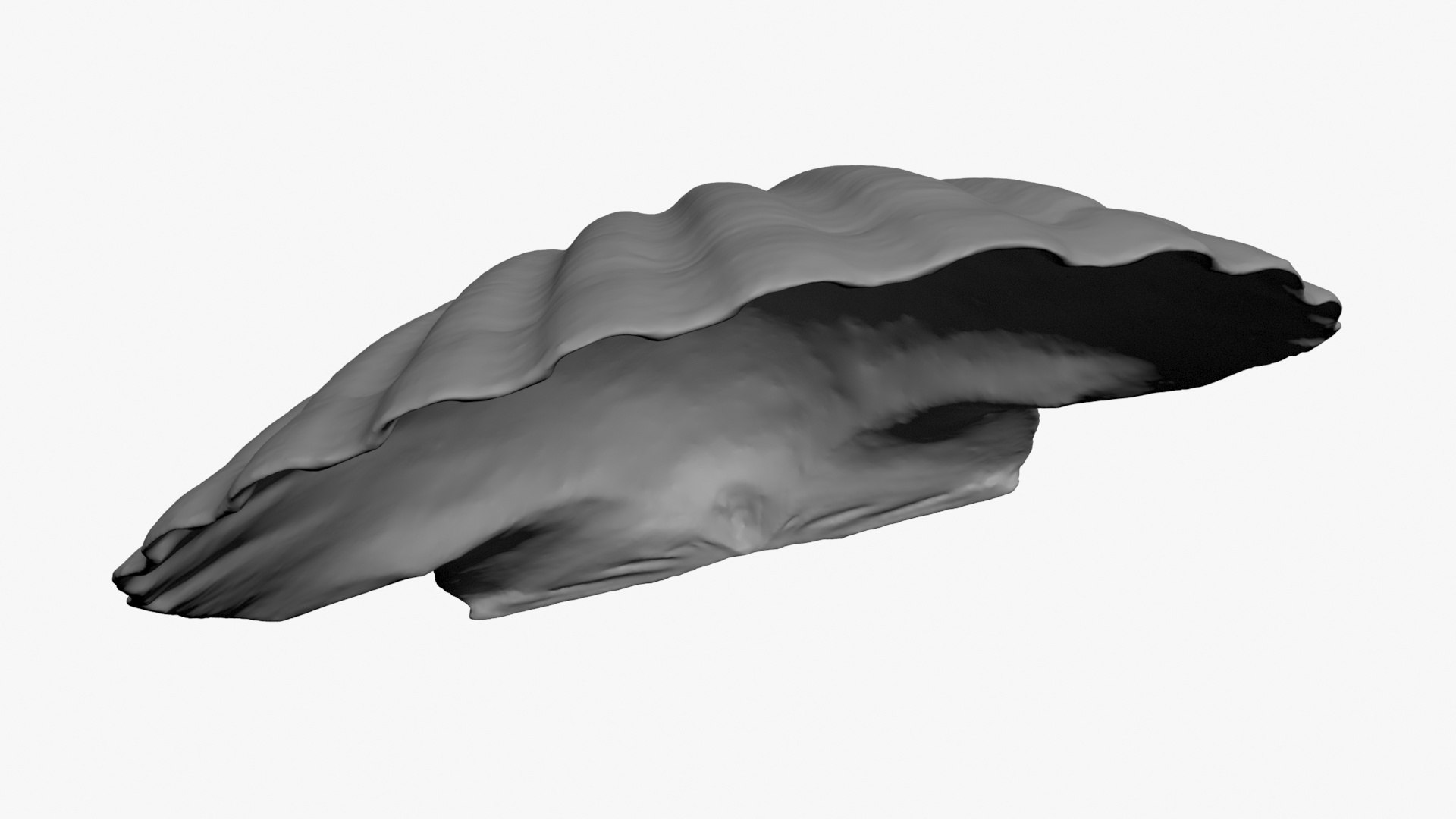 3D Clam Shell Scan - TurboSquid 2272578