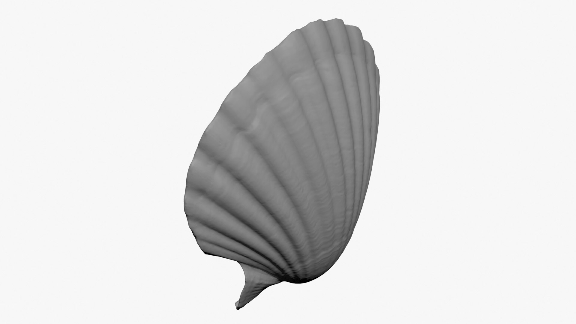 3D Clam Shell Scan - TurboSquid 2272578