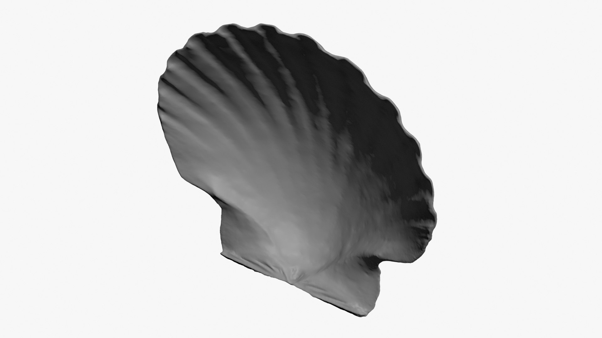 3D Clam Shell Scan - TurboSquid 2272578