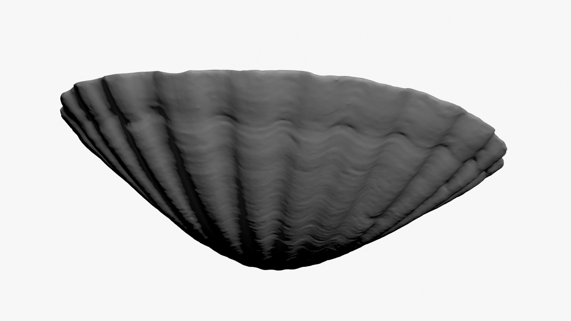 3D Clam Shell Scan - TurboSquid 2272578