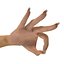 3d Female Hand Ok Sign