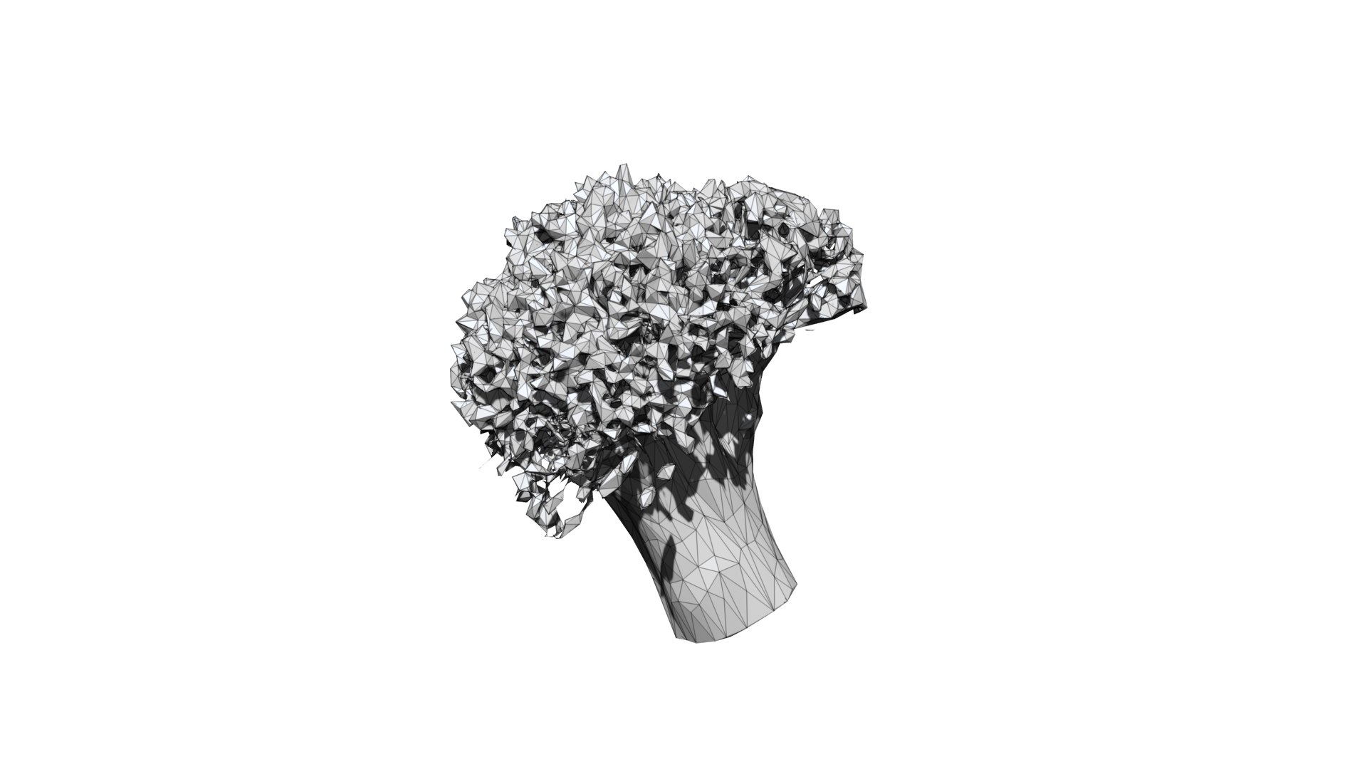 Broccoli Cut 3D CT Scan Model 6 Decimate 10percent 3D Model ...