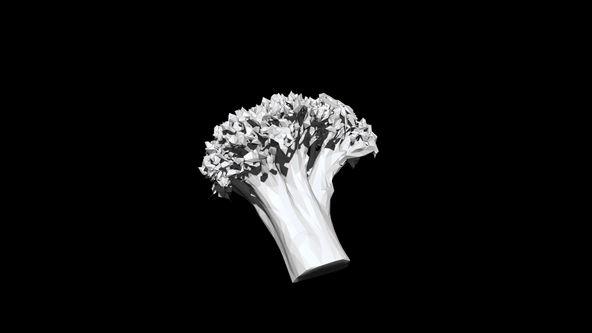 Broccoli Cut 3D CT Scan Model 6 Decimate 10percent 3D Model ...