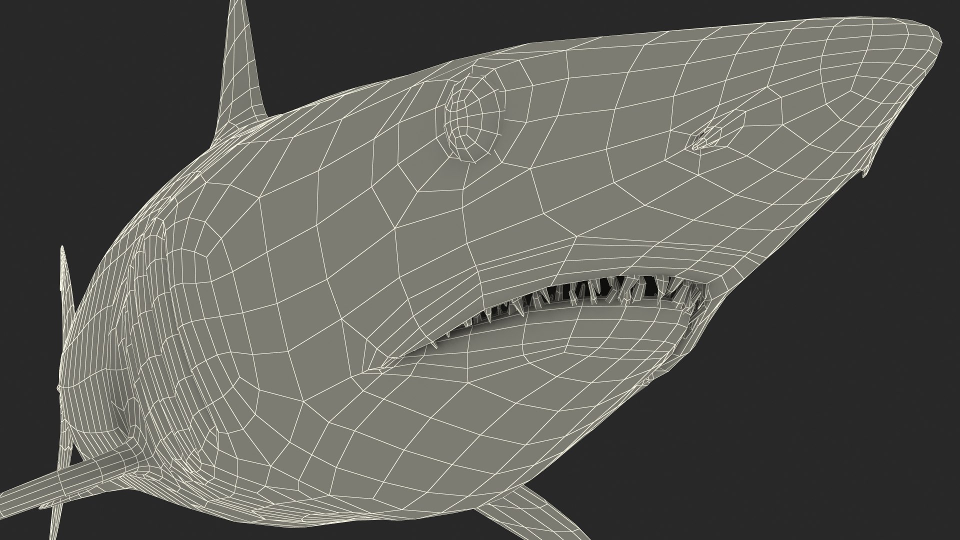 Realistic Shortfin Mako Shark Rigged 3D - TurboSquid 2328327