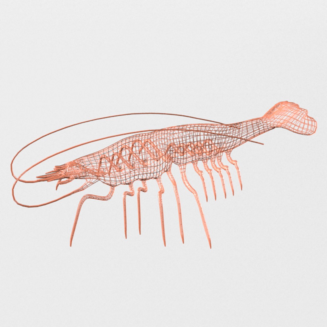 3D red prawns - TurboSquid 1336456