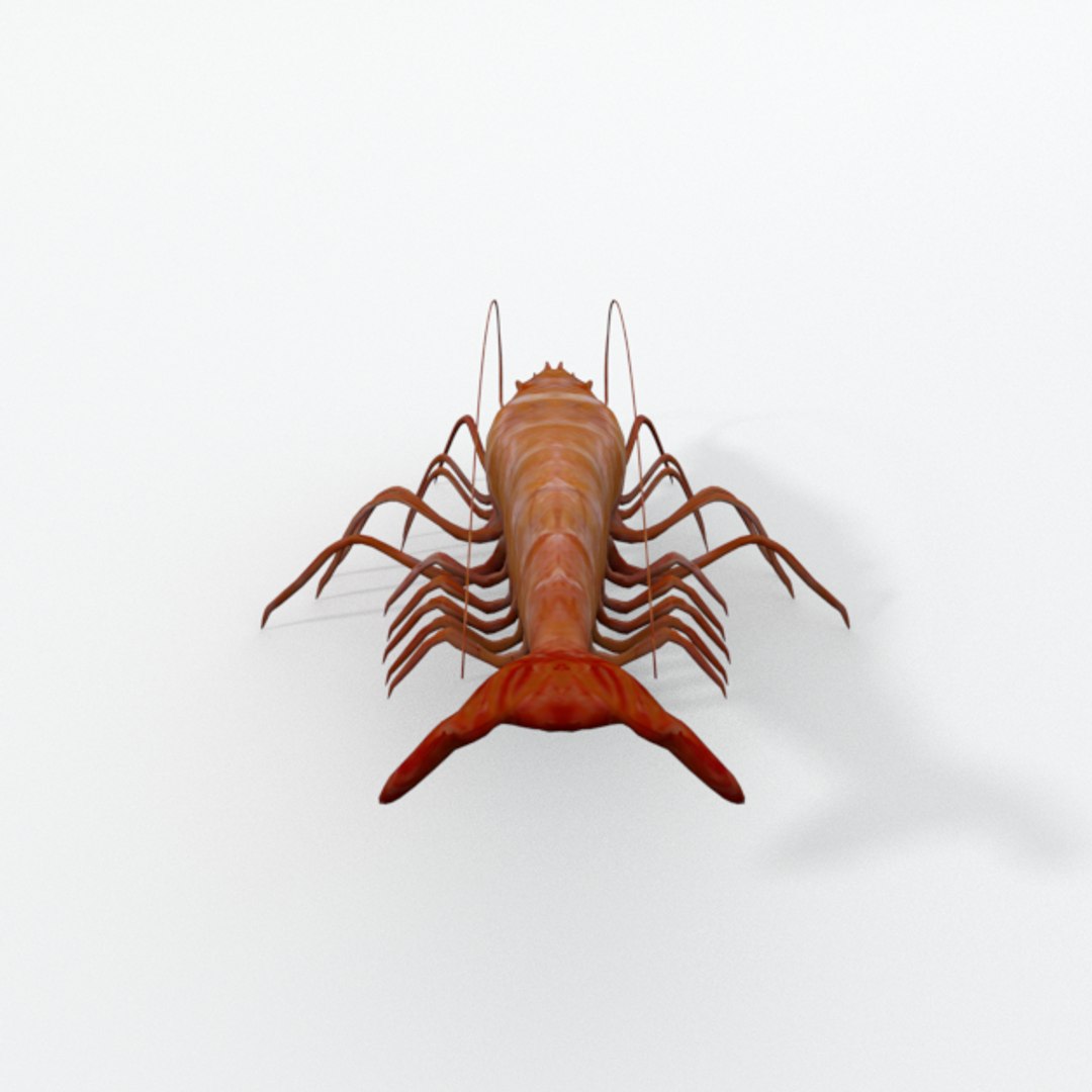 3D red prawns - TurboSquid 1336456