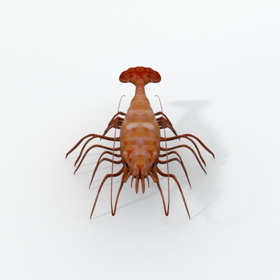 3D red prawns - TurboSquid 1336456