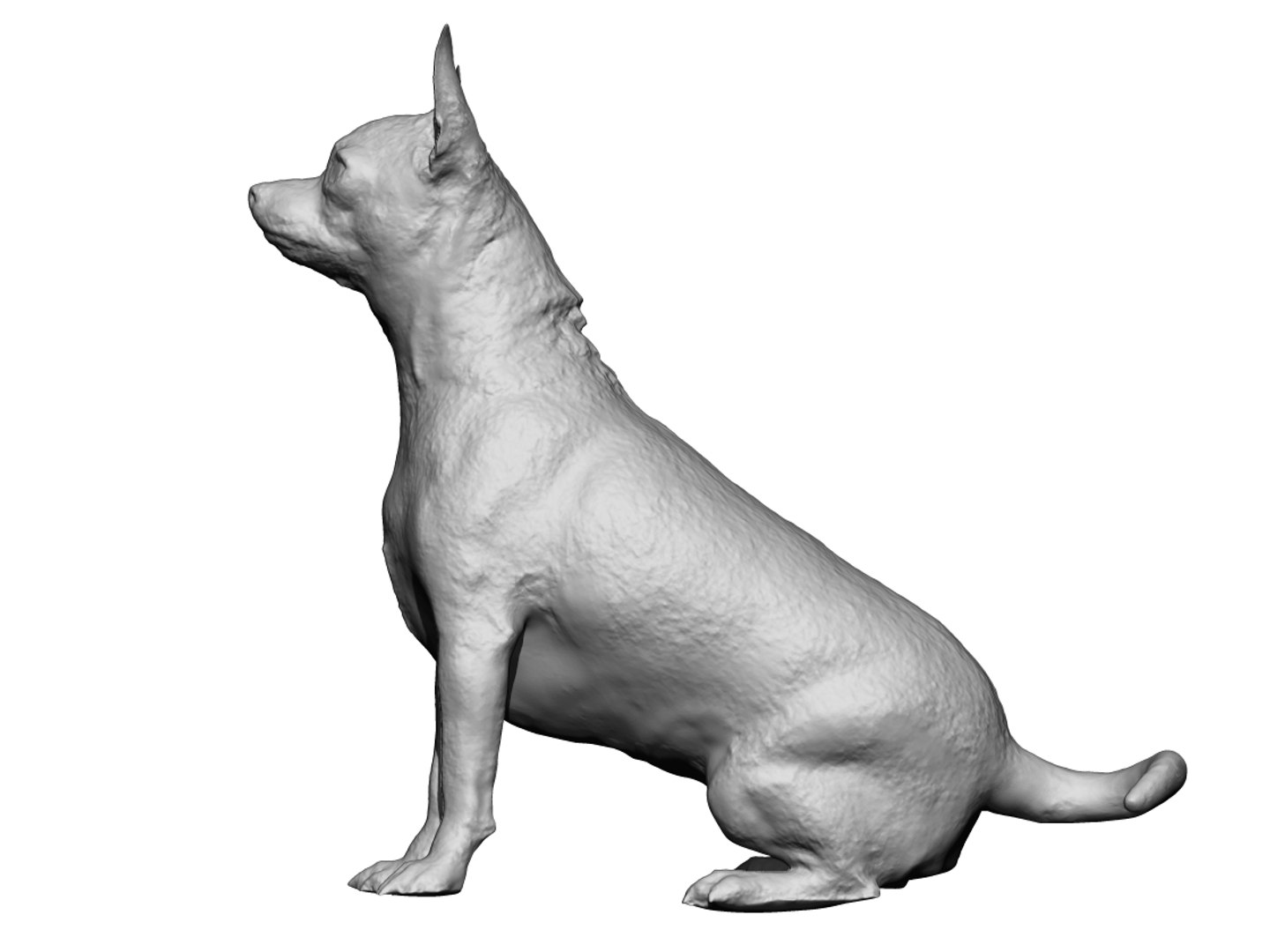 Dog Scanned Photogrammetry 3D Model - TurboSquid 1349228