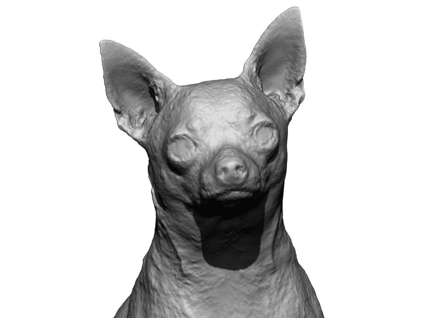 Dog Scanned Photogrammetry 3D Model - TurboSquid 1349228