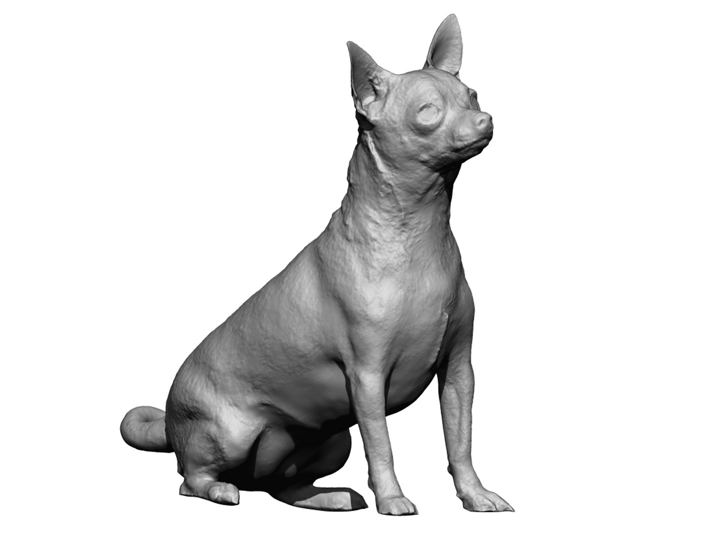 Dog Scanned Photogrammetry 3D Model - TurboSquid 1349228