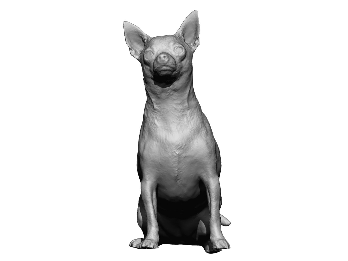 Dog Scanned Photogrammetry 3D Model - TurboSquid 1349228
