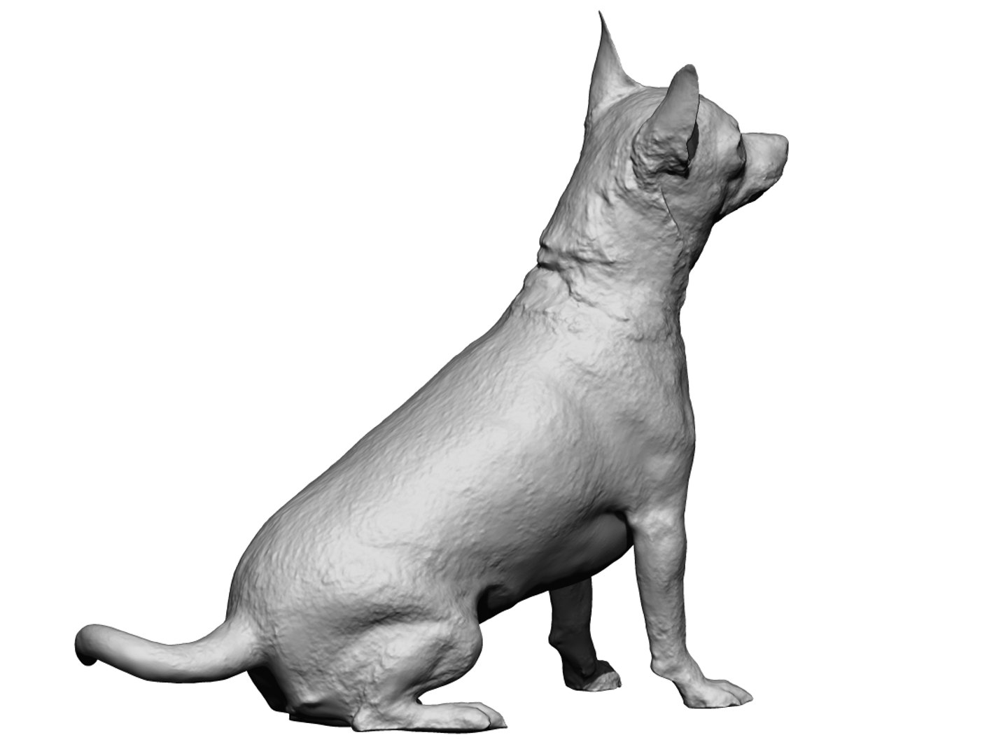 Dog Scanned Photogrammetry 3D Model - TurboSquid 1349228