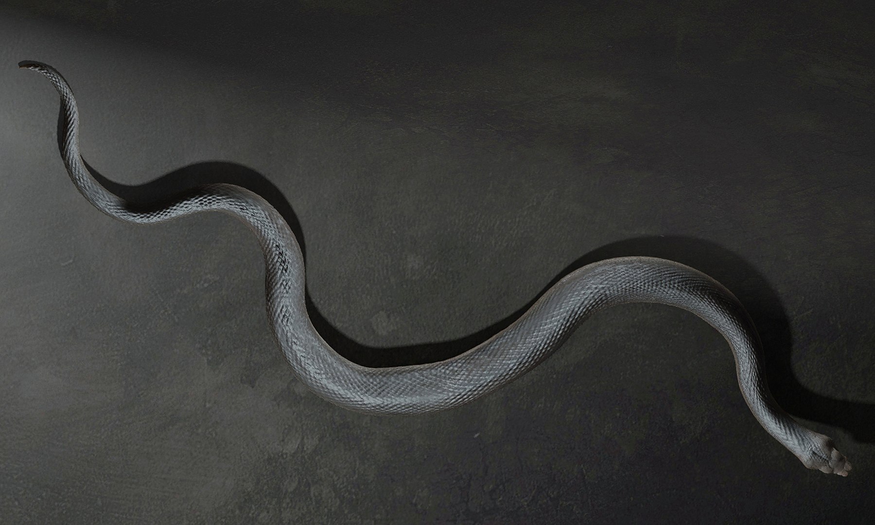 3D Snake Model - TurboSquid 2407279