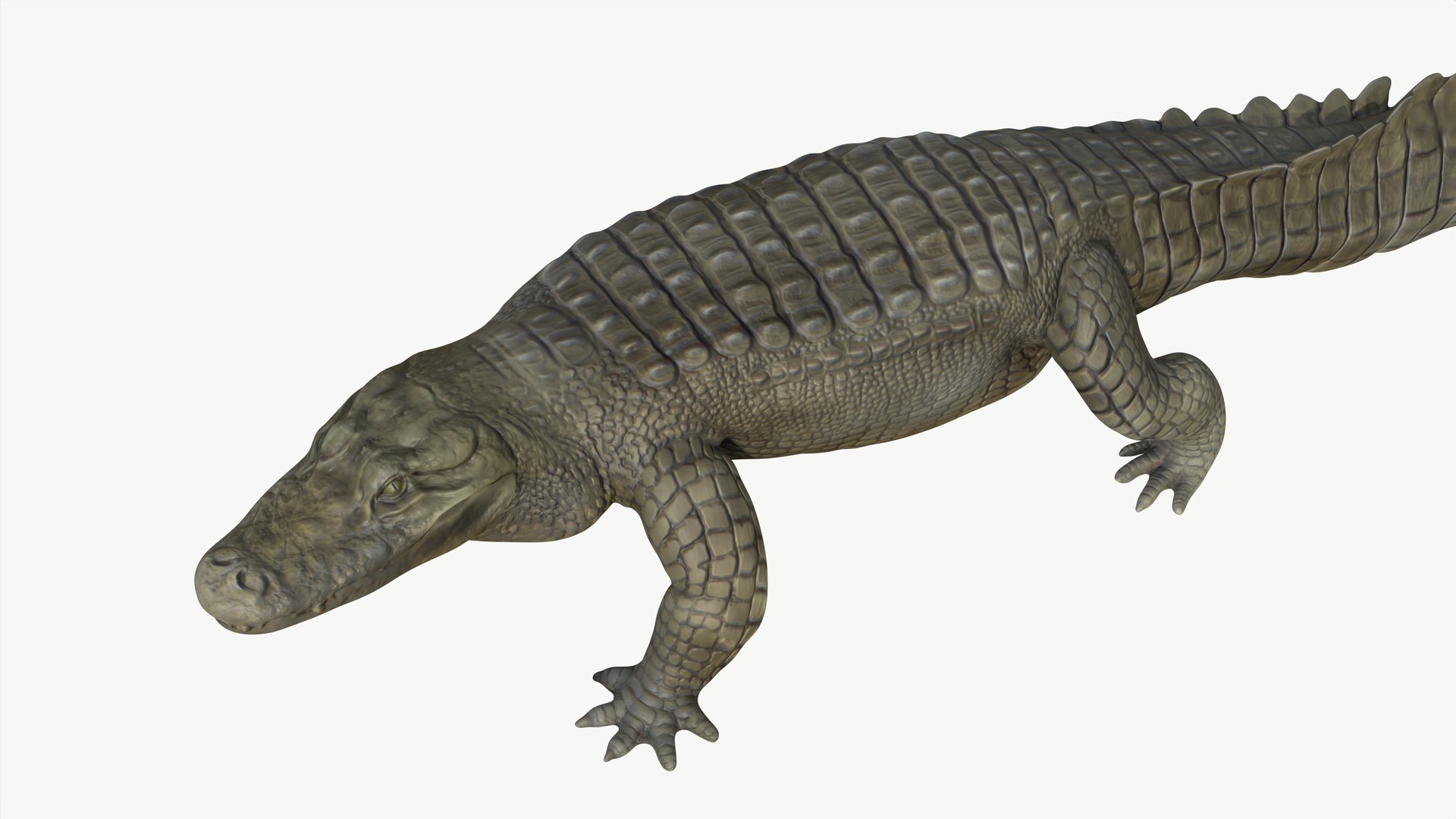 3D Model Crocodile Realistic PBR - TurboSquid 2209618