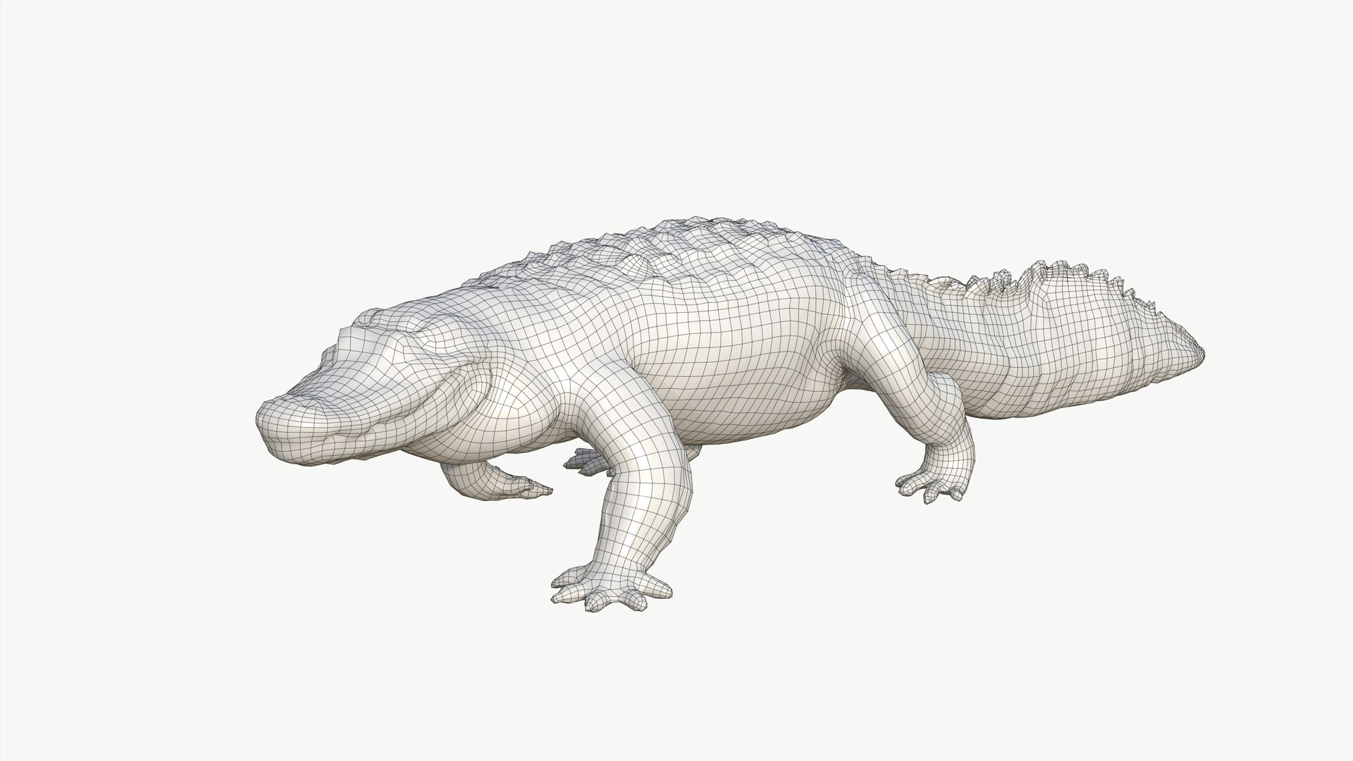 3D Model Crocodile Realistic PBR - TurboSquid 2209618