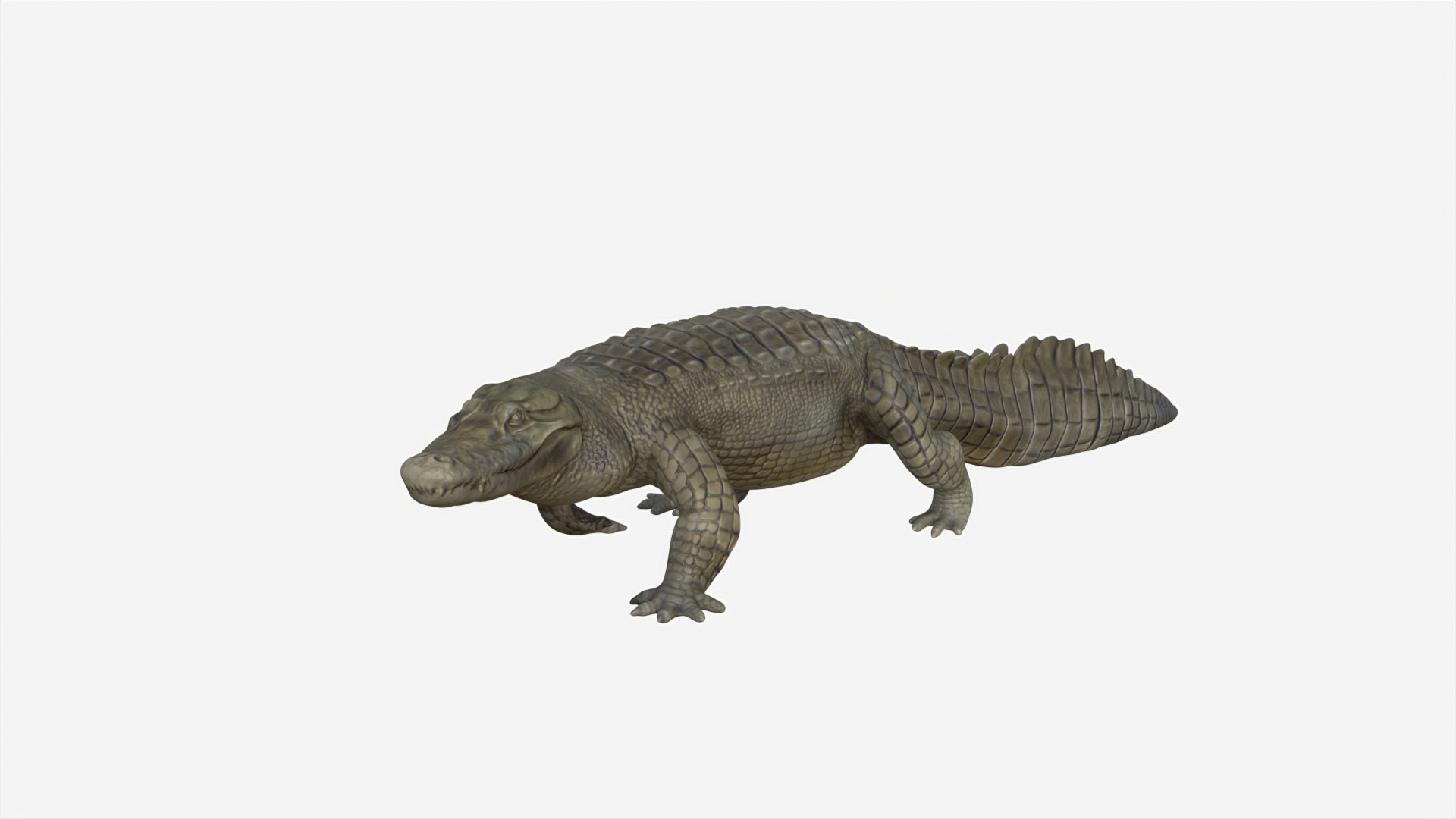 3D Model Crocodile Realistic PBR - TurboSquid 2209618