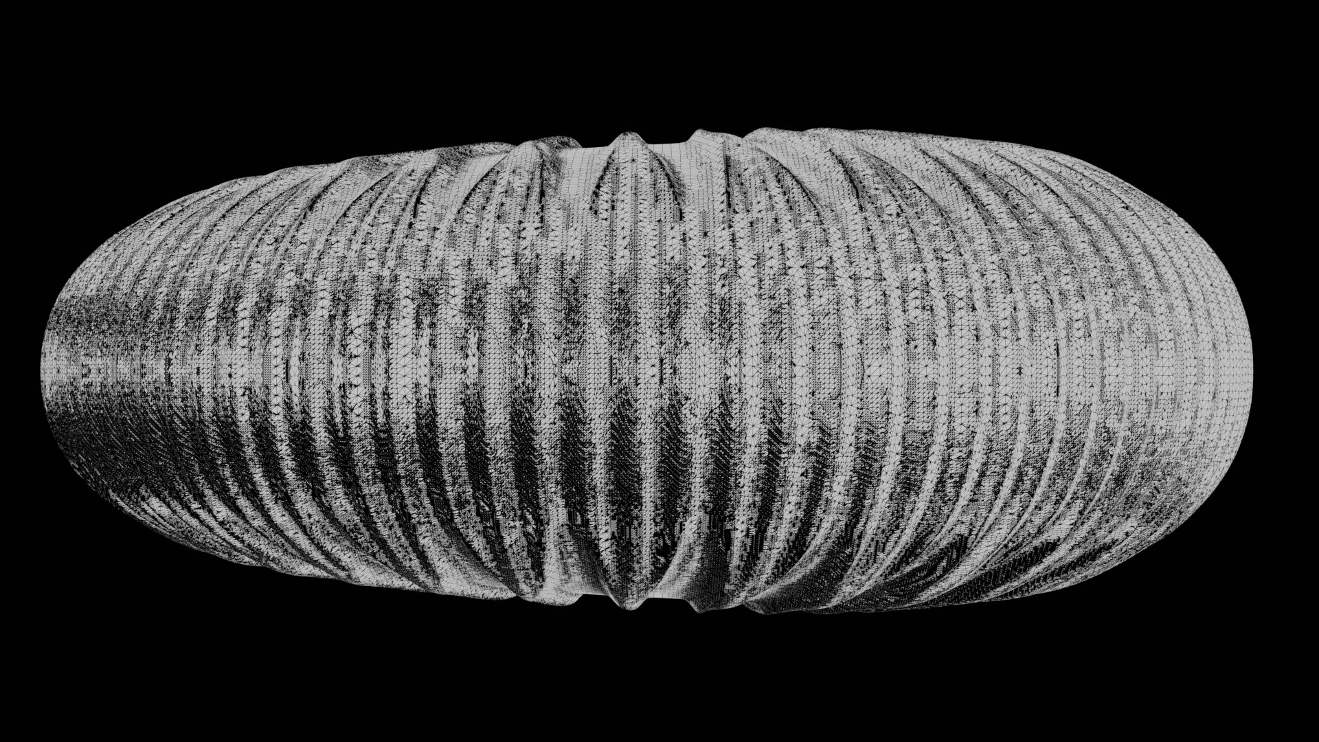Ammonoid Shell With Trichotomous Ribs 3D Model - TurboSquid 2295824