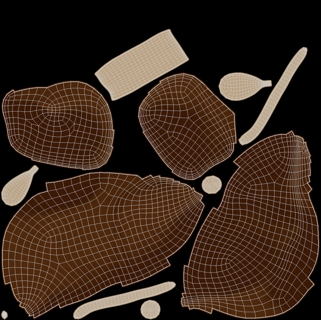 Human Anatomy-External Projection Of Internal Organs- Side View 3D ...