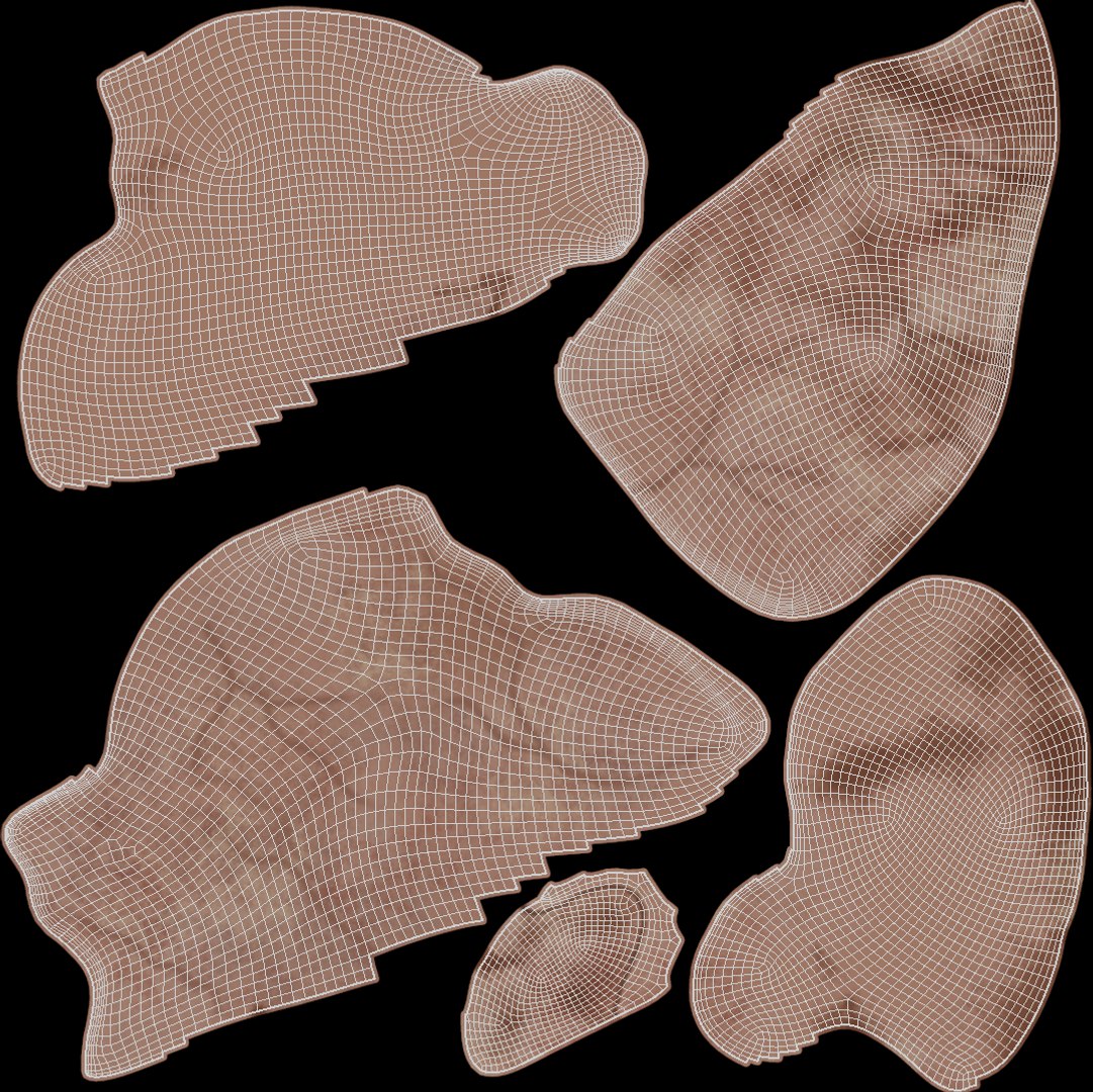 Human Anatomy-External Projection Of Internal Organs- Side View 3D ...