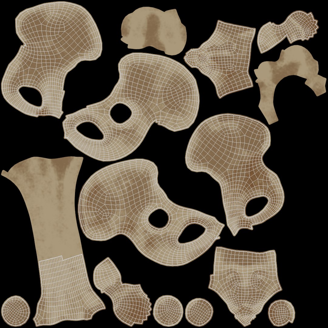 Human Anatomy-External Projection Of Internal Organs- Side View 3D ...