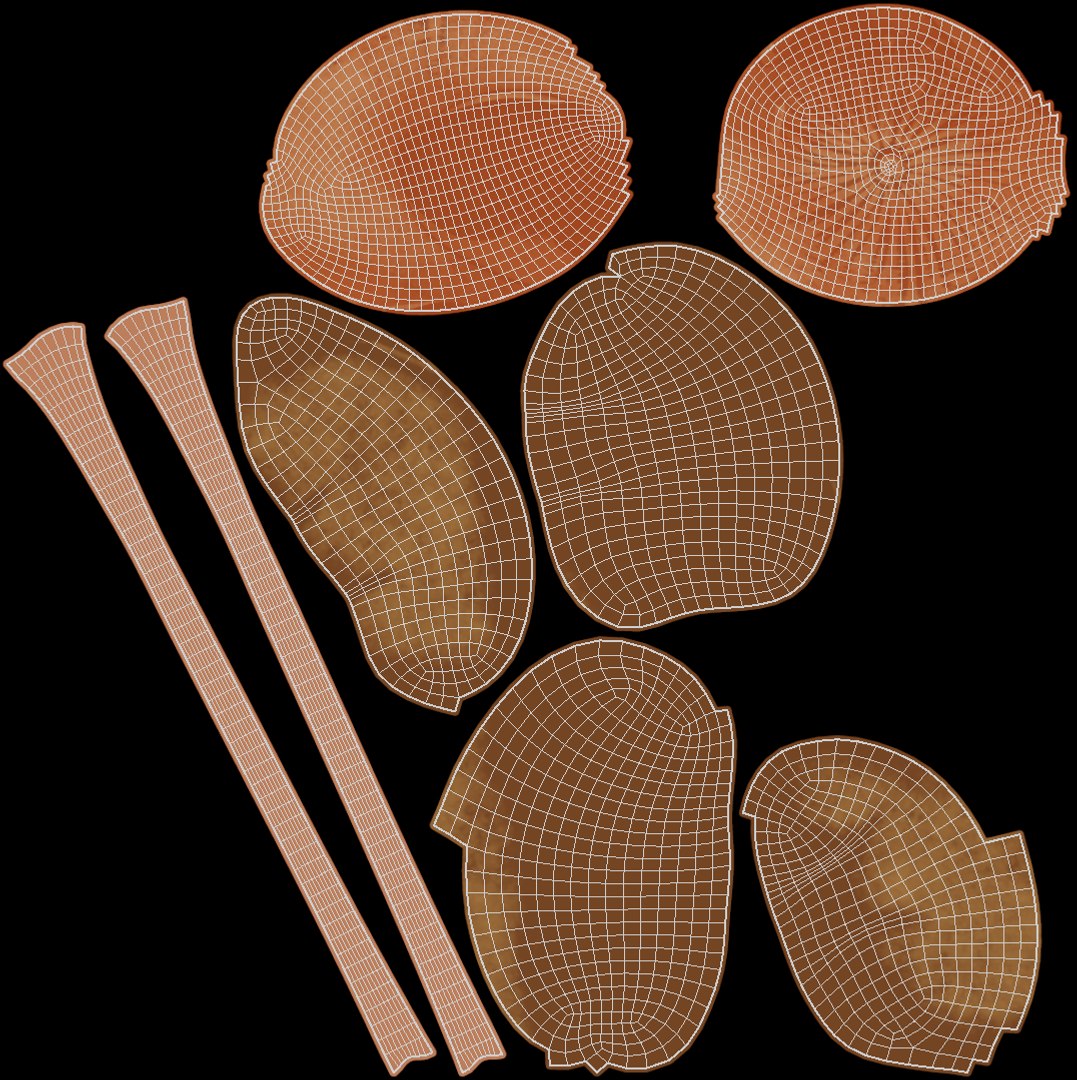 Human Anatomy-External Projection Of Internal Organs- Side View 3D ...