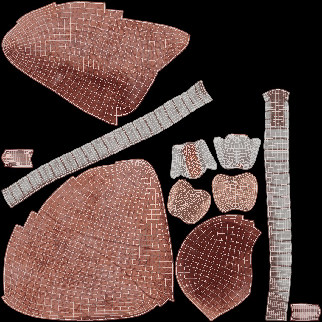 Human Anatomy-External Projection Of Internal Organs- Side View 3D ...