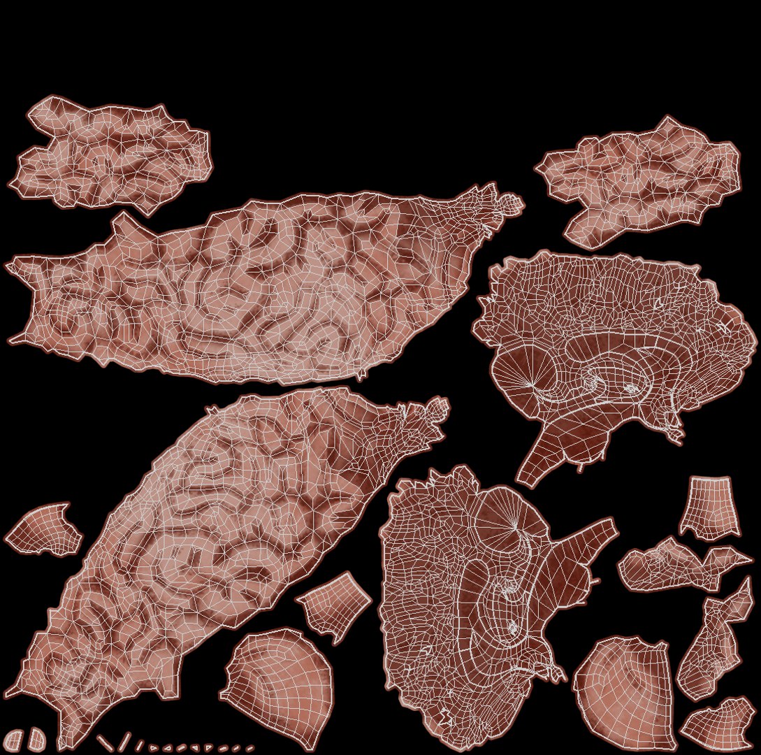 Human Anatomy-External Projection Of Internal Organs- Side View 3D ...