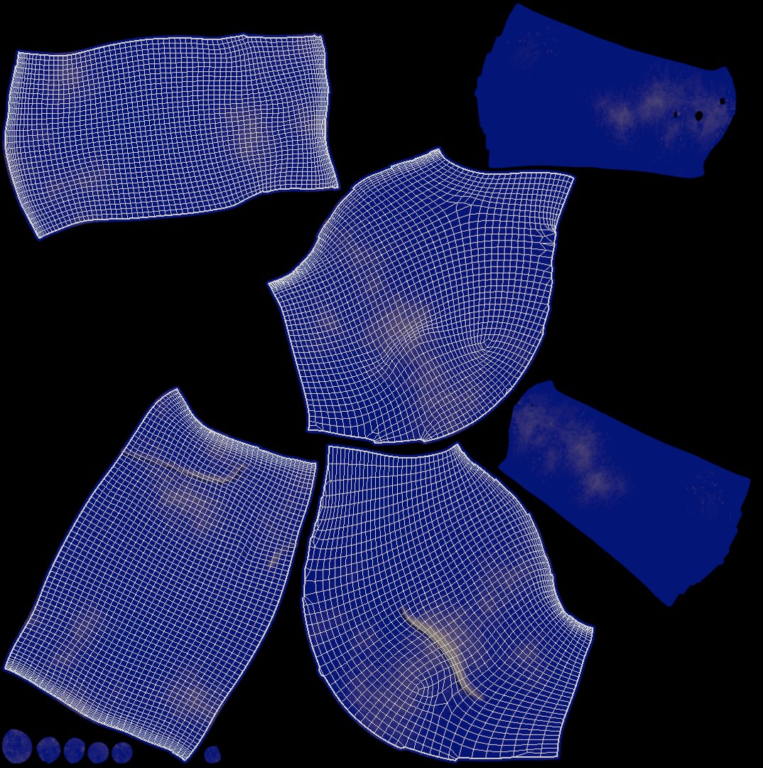 Human Anatomy-External Projection Of Internal Organs- Side View 3D ...