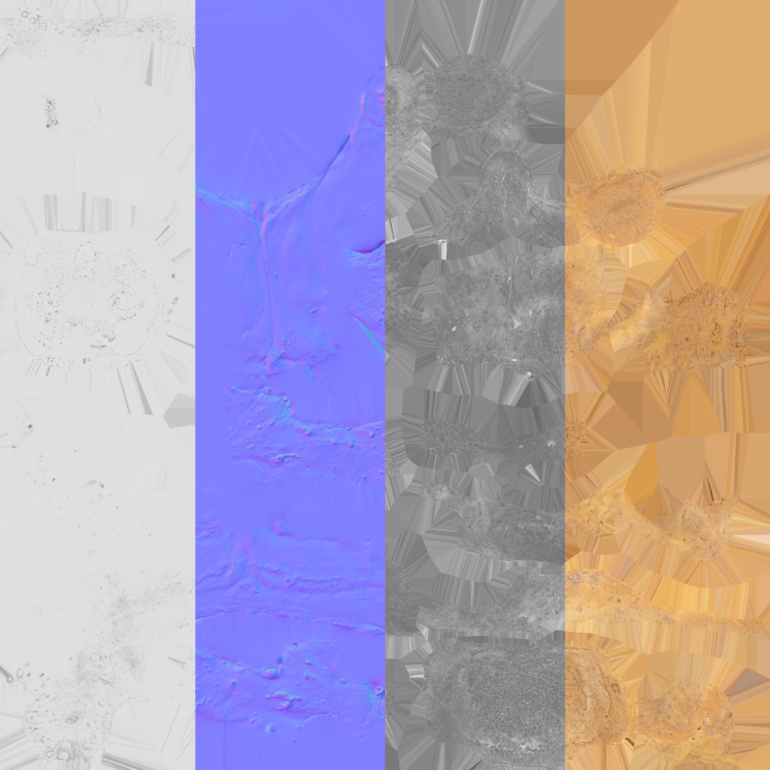 3D cervical vertebrae c3 c6 - TurboSquid 1501730