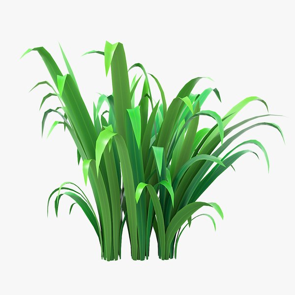 modelo 3d Hierba larga de dibujos animados 12 - TurboSquid 2046392