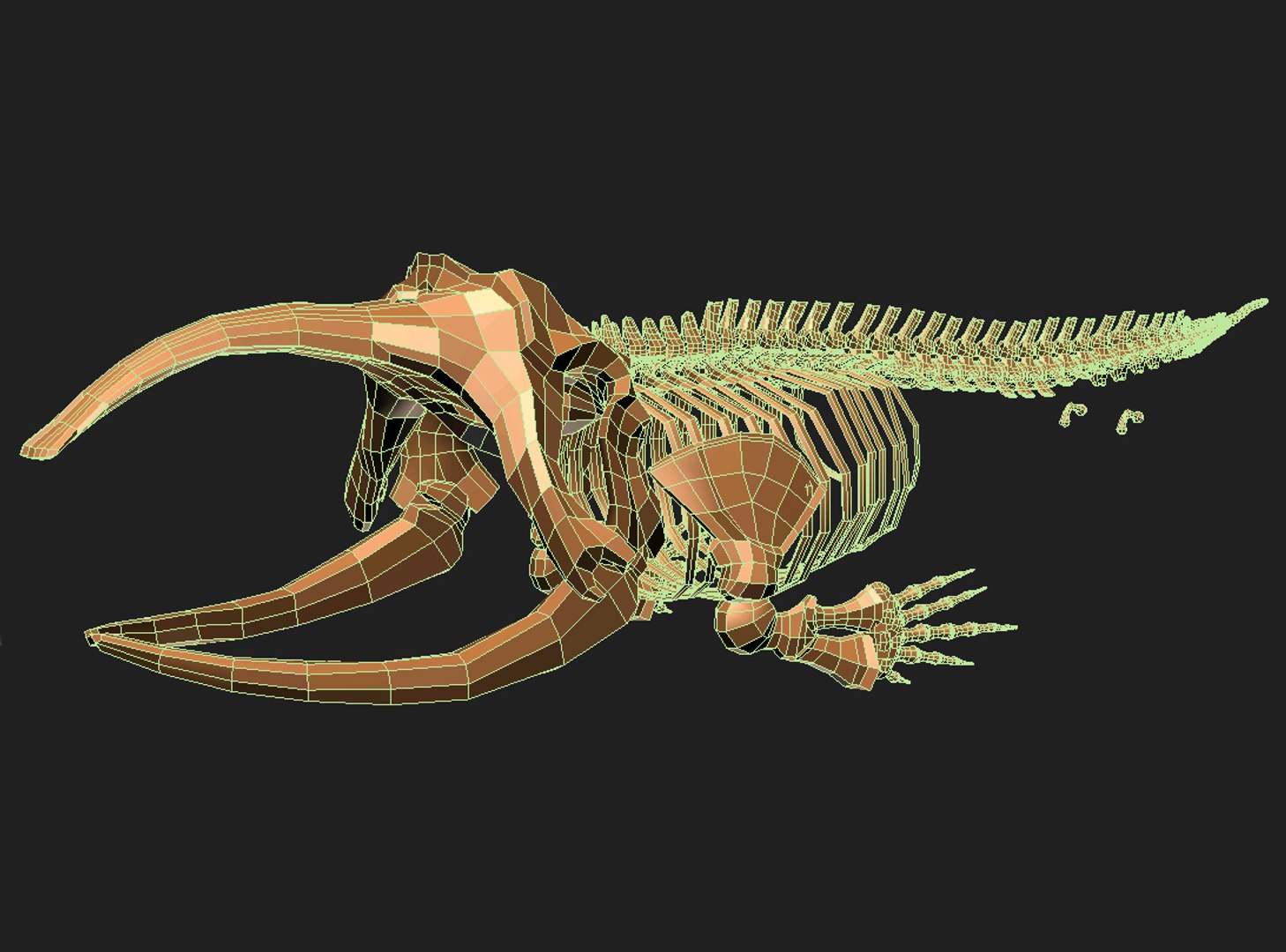 Skeleton Greenland Whale Animal Skull 3d Model