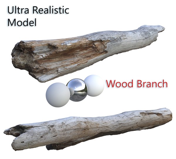 Wood branch scan 3D model - TurboSquid 1291064
