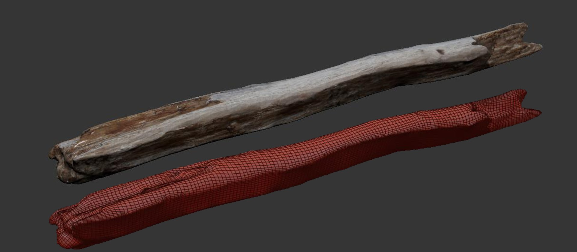 Wood Branch Scan 3D Model - TurboSquid 1291064