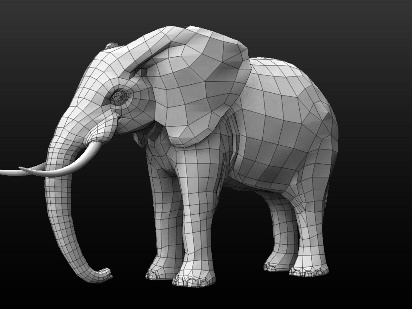 Elephant Animation 3d Model