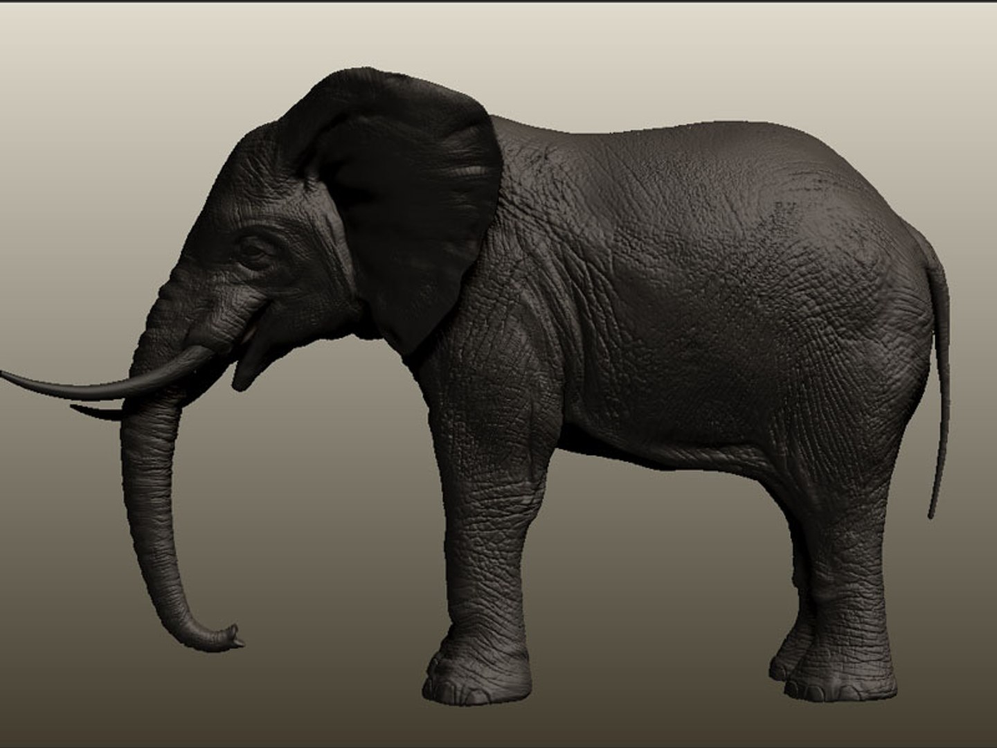 Elephant Animation 3d Model
