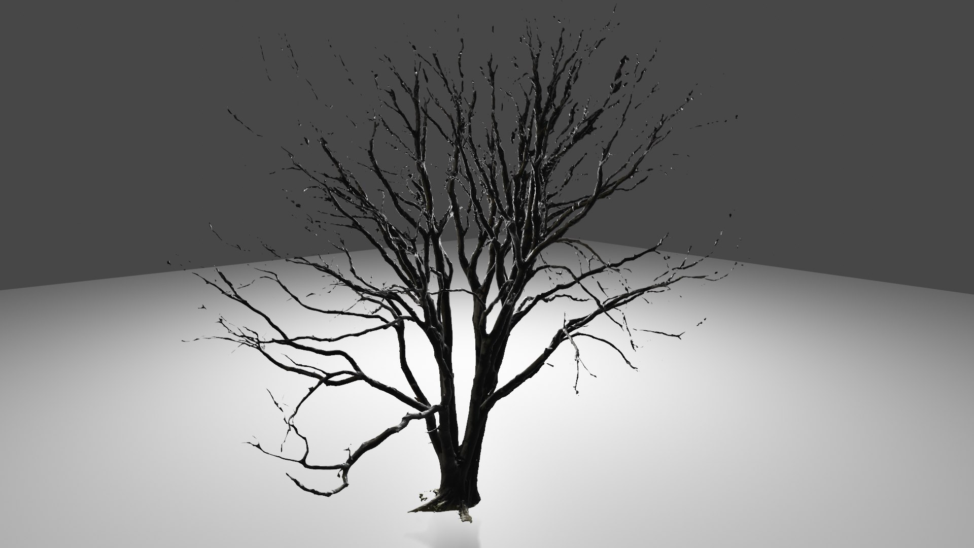 3D Model Dry Tree - TurboSquid 1518643